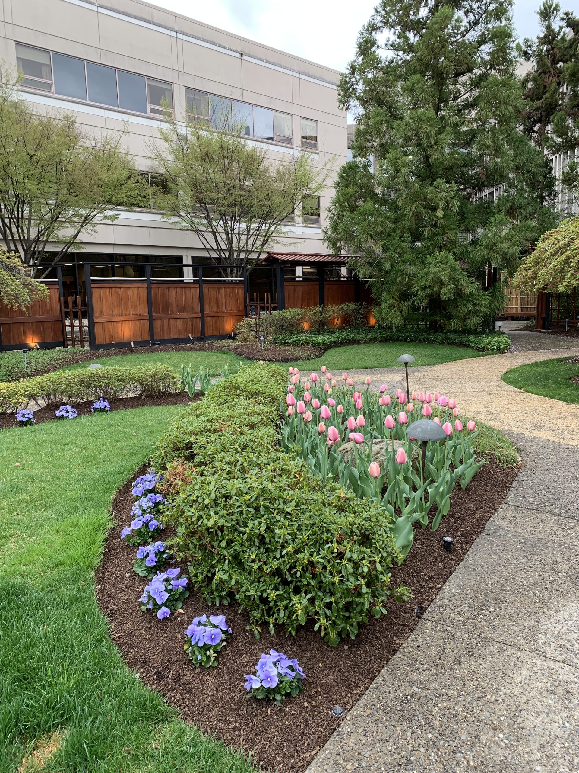 Landscape Gallery – Seasons Garden Center